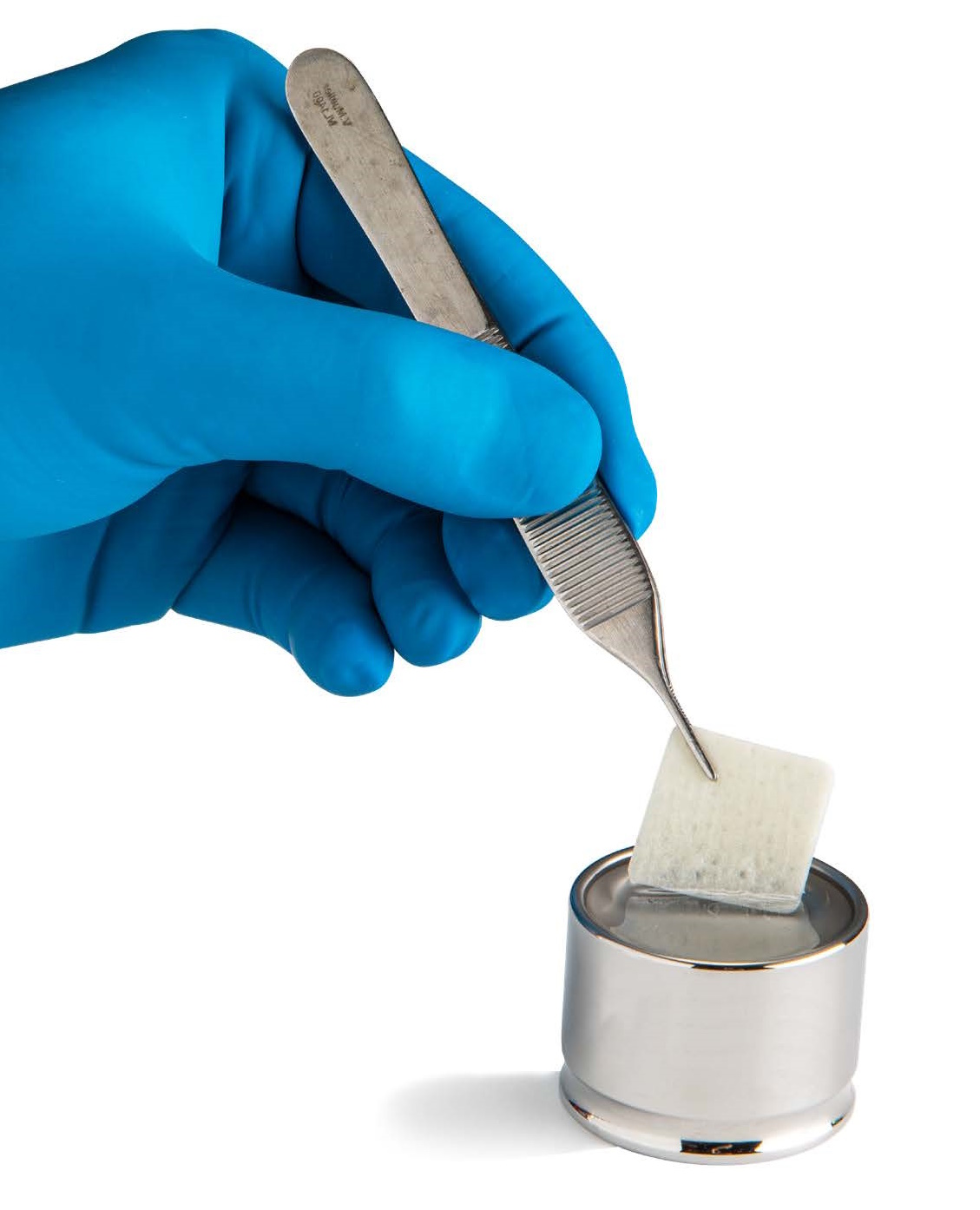 Maxxeus Dental - Dental CEntral